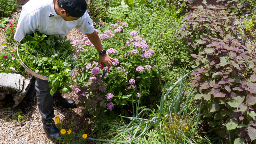 Time Out Weekend | Gwinganna Lifestyle Retreat